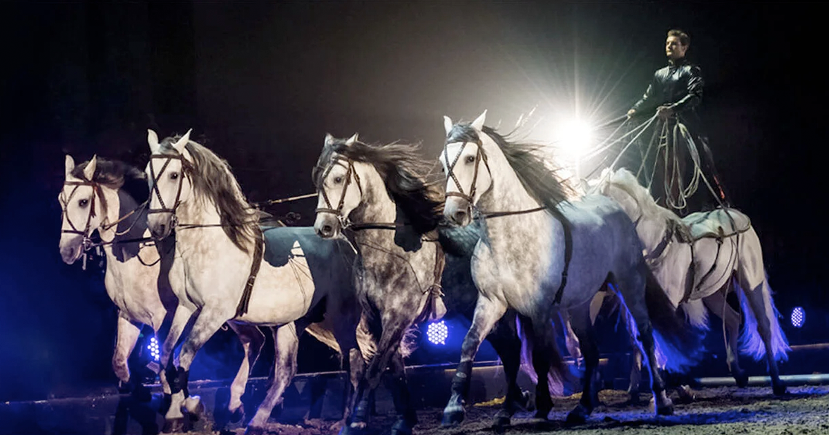 Hungarian Post | Riding styles at CAVALLUNA